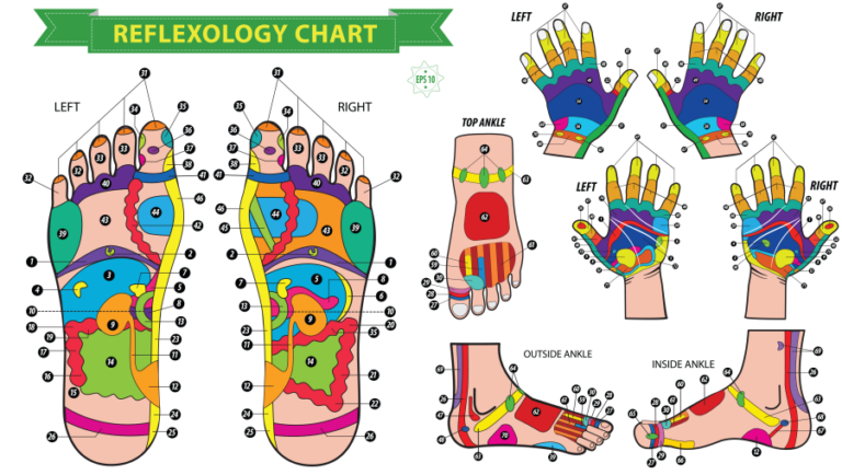 Reflexology Connections – Your Key To Health And Wholeness